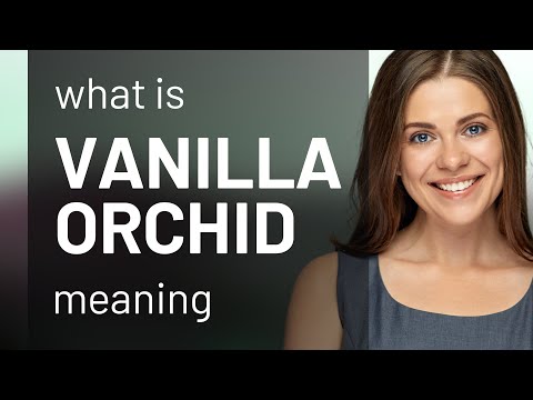 Vanilla orchid • meaning of VANILLA ORCHID