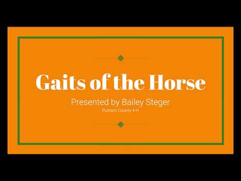 Gaits of the Horse - Educational Video