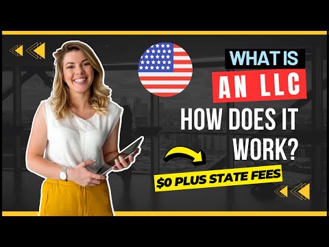What Is an LLC and How Does It (Work, Protect, Taxed) for Partnership & Dummies - Explain in 2025