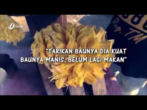 Nangka Madu J33 Nangka Manis