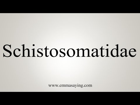 How To Say Schistosomatidae