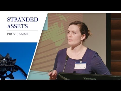 Understanding Stranded Assets in South Africa
