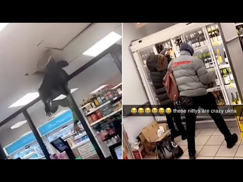 BRAZEN GANG RANSACKS TESCO STORE IN NEASDEN!