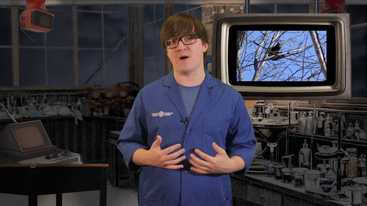 Science for the Classroom: Habitats