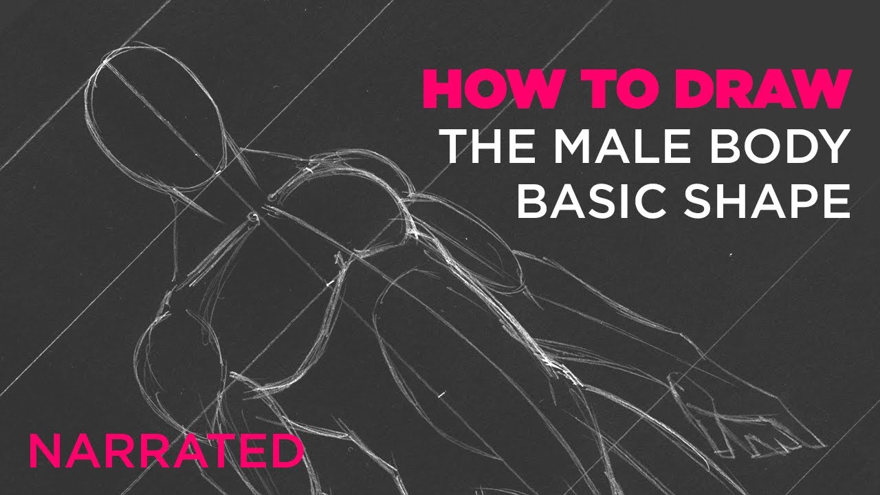 How to Draw the Male Body - Basic Shape (Narrated)