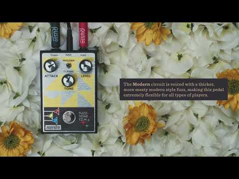 Maestro Fuzz Tone FZ-M | Russo Music