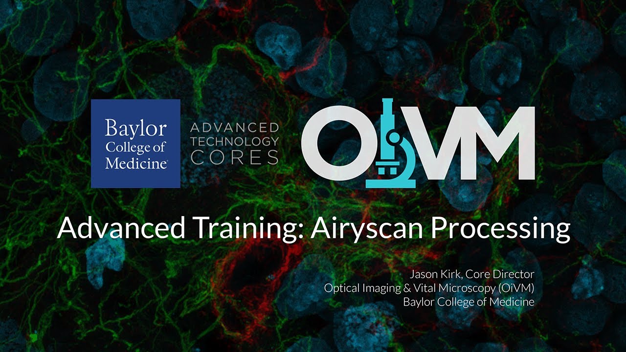 Training: Advanced Airyscan Processing