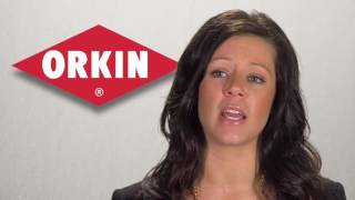 3 Best Pest Control Companies in Indianapolis, IN - Expert Recommendations