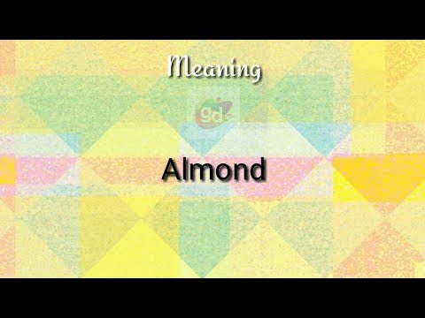 Almond Meaning with Pronunciation||Googul Dictionary#almond