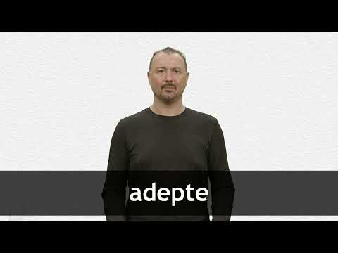 English Translation of “ADEPTE” | Collins French-English Dictionary