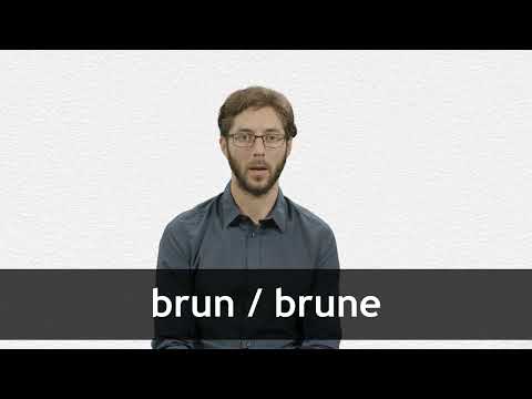 English Translation of “BRUN” | Collins French-English Dictionary
