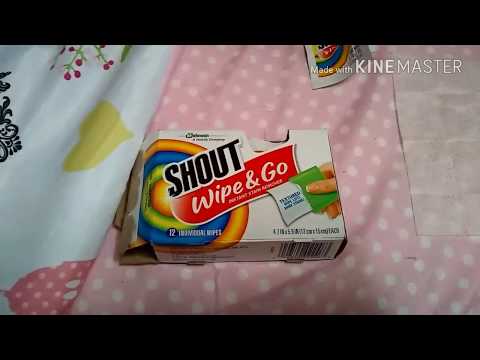 Shout "Wipe and Go" Instant Stain Remover Review