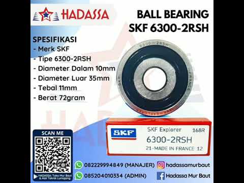 Ball Bearing SKF