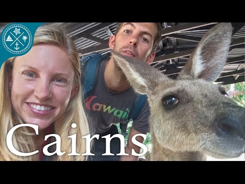 Visiting Cairns Australia! - Tons of crazy nature & animals!