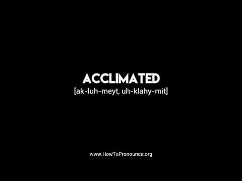 How to Pronounce "acclimated"