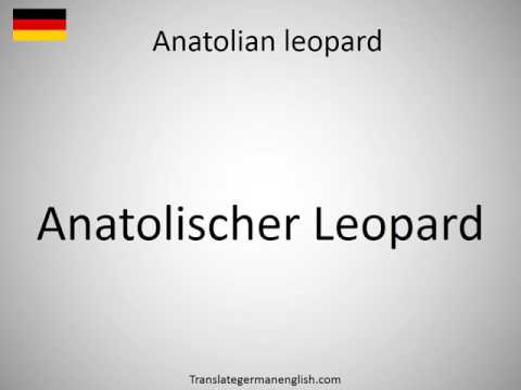 How to say Anatolian leopard in German?