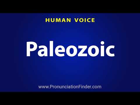 How To Pronounce Paleozoic