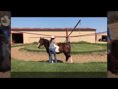 CowgurlsWrangler 1