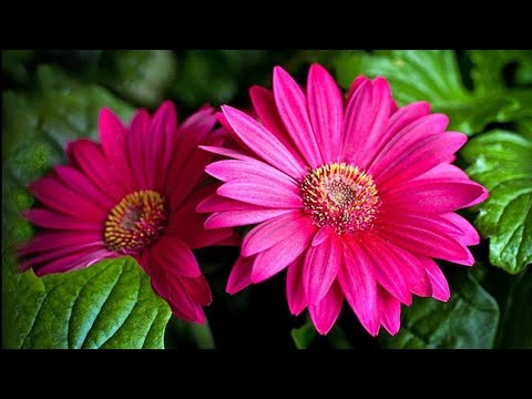 Copyright free music download for YouTube videos:royalty free music for YouTube :