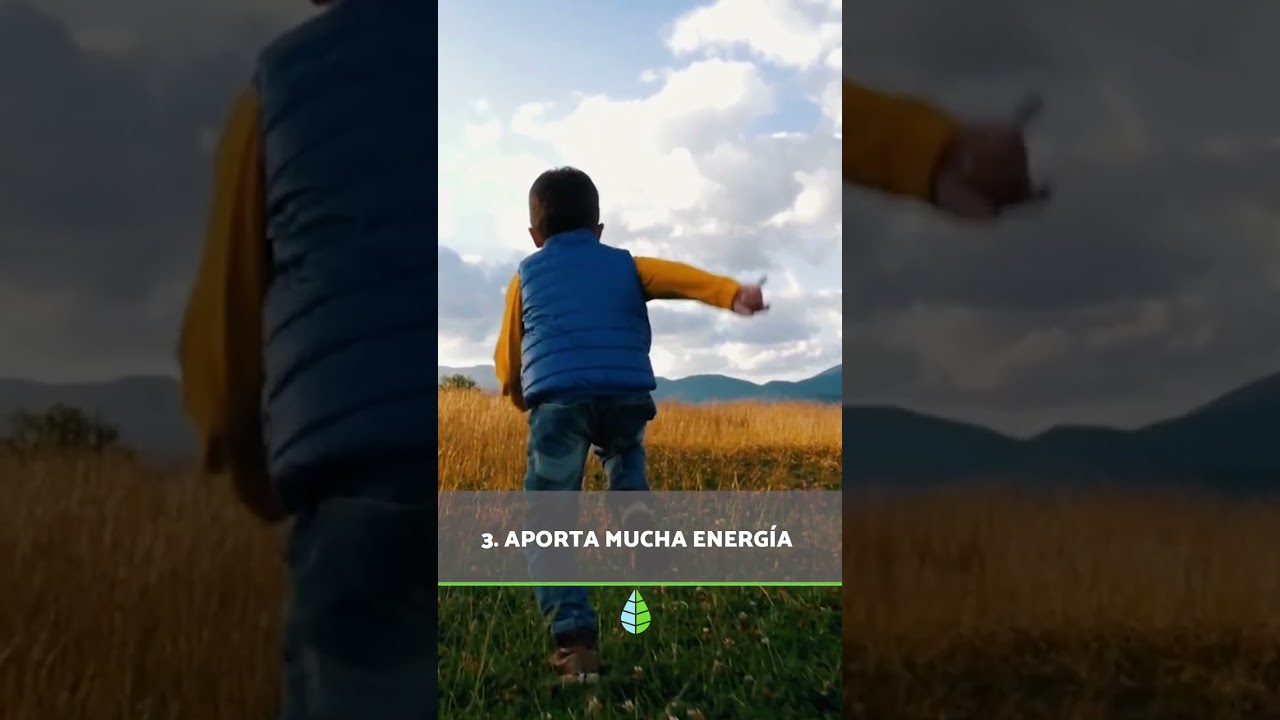 7 HEALTH BENEFITS OF WHEAT GERM 🌾💚