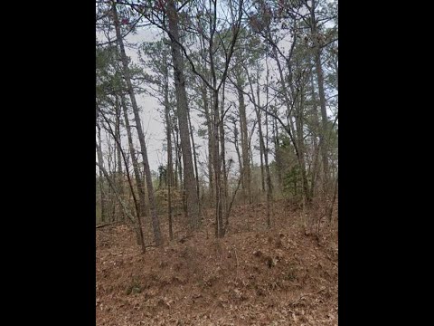 1090 FAIRVIEW Road, Ball Ground, GA 30107 - Residential for sale