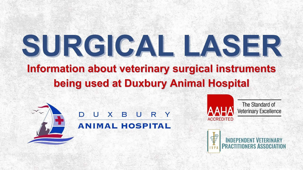 Surgical Laser - Veterinary Surgical Instruments