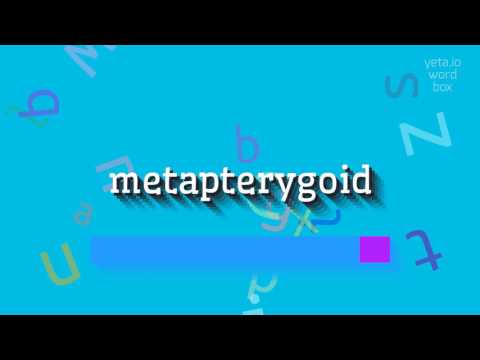 How to say "metapterygoid"! (High Quality Voices)