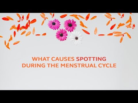 What Causes Spotting During the Menstrual Cycle?