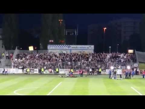 SC Wiener Neustadt - SK Sturm Graz 4:4 (2:0), Bundesliga 2014/15 - 25.04.2015, Auswärtsfans