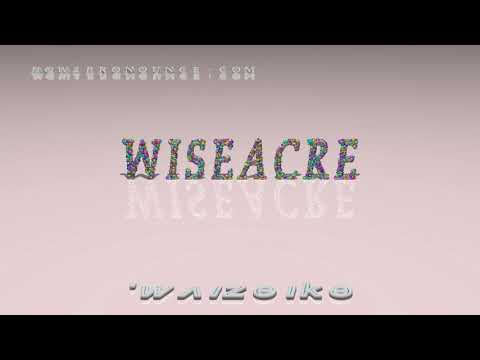 wiseacre - pronunciation + Examples in sentences and phrases