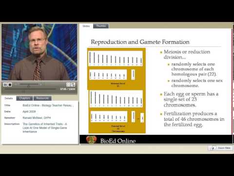 Introduction to Inherited Traits
