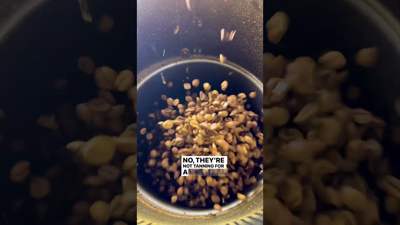 Why Do Top Coffee Beans Change Color?