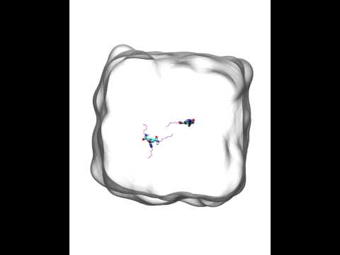 dimerization free energy from adaptive biasing force (ABF)
