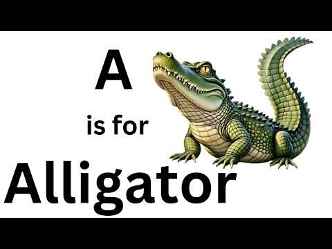 Things start With letter A | Learn A Words! |Easy Learning | Words That Begin with A!