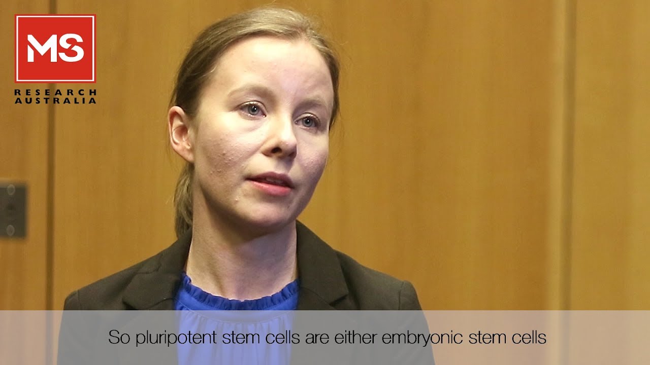 Research Report Ep 13. Stem Cells