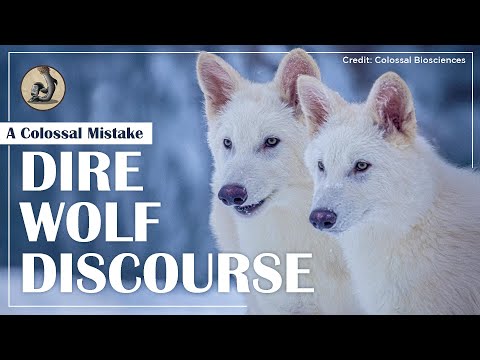 A Colossal Mistake: Dire Wolf Discourse