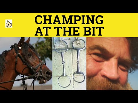 🔵 Champing or Chomping at the Bit- Champing at the Bit Meaning- Chaffing at the Bit Examples -Idioms