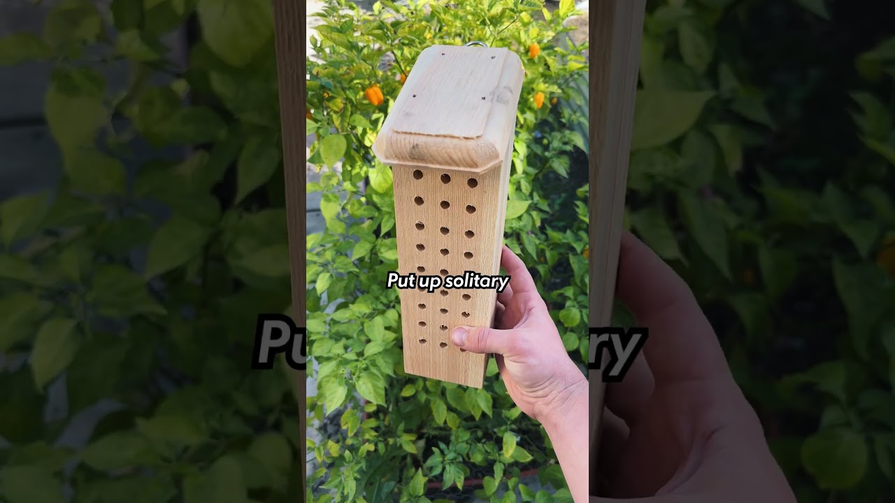 Want Better Pollination? Get A Solitary Bee House! #pollinatorgarden #pollinatorsareimportant