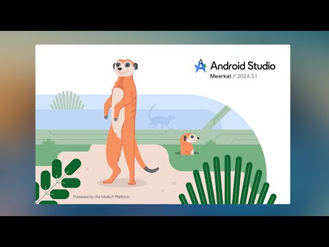 Android Studio - Meerkat | 2024.3.1 | What's new | Android App