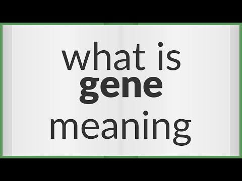Gene | meaning of Gene