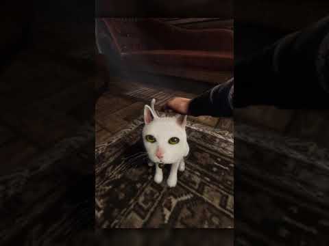 Steam Community :: Video :: In Sound Mind | Petting The Cat