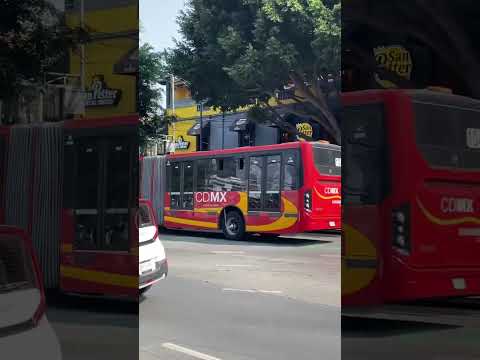 MetroBus CDMX | One of the fastest ways to get around Mexico City