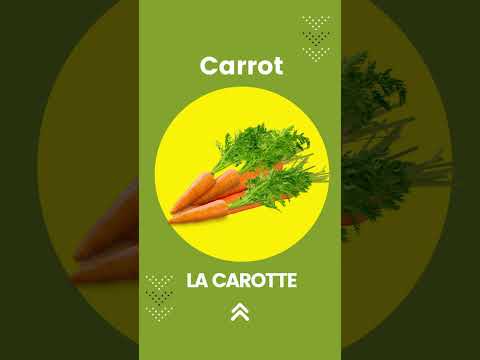 how to say carrot in French - la carotte #french #shorts #trending #ytshorts #viralshorts #fyp #reel