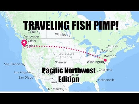 Traveling Fish Pimp- A peek into Portland