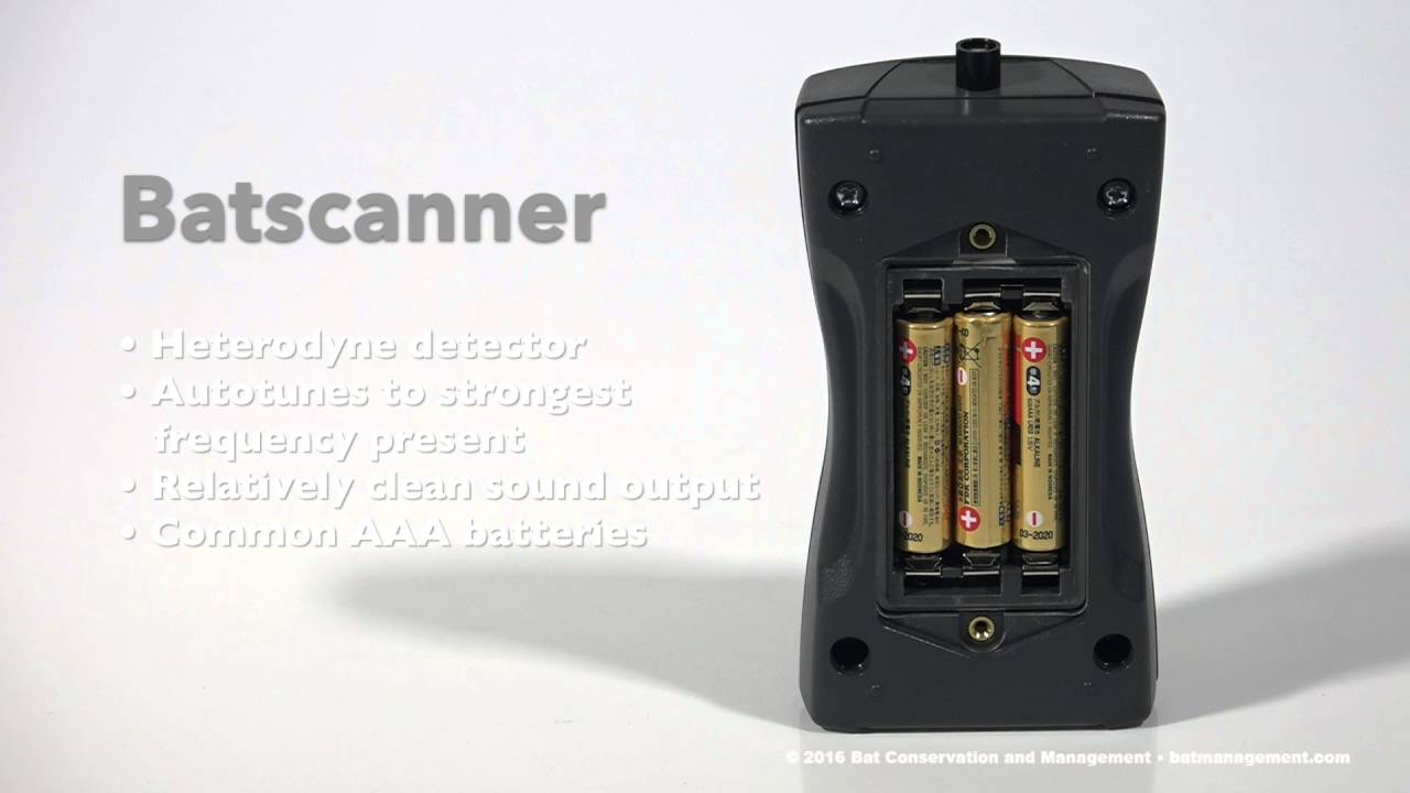 2016 Batscanner Bat Detector Demo