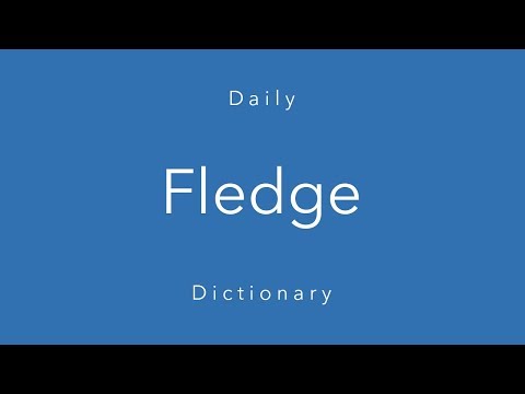 Fledge (Daily Dictionary)