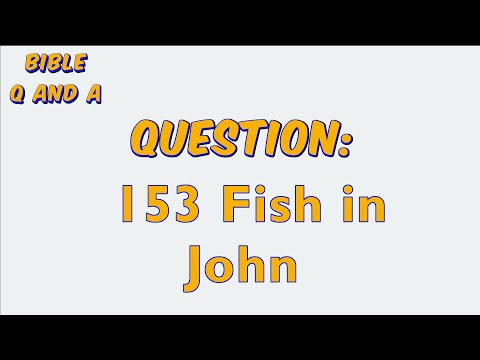 153 Fish in John