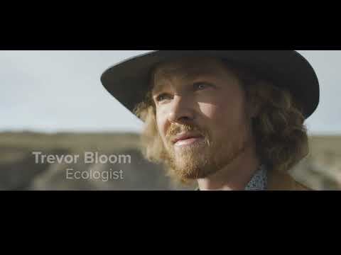 Plains/Basin Biome - What does the Greater Yellowstone Ecosystem mean to you?