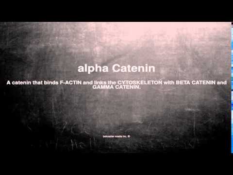 Medical vocabulary: What does alpha Catenin mean