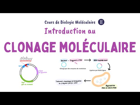 Introduction au clonage moléculaire de l'ADN